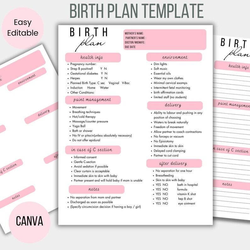 Editable Visual Birth Plan Template: Hospital Checklist, Affirmations ...