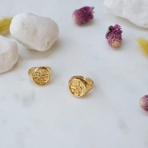 Gold Snake Stamp Signet Ring, Boho Simple Chevalier Ring, Dainty Signet ...