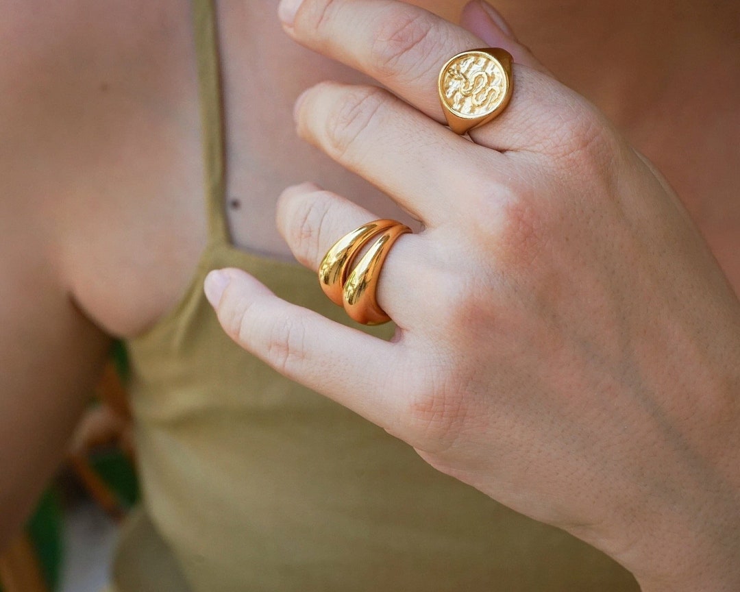 Gold Snake Stamp Signet Ring, Boho Simple Chevalier Ring, Dainty Signet ...