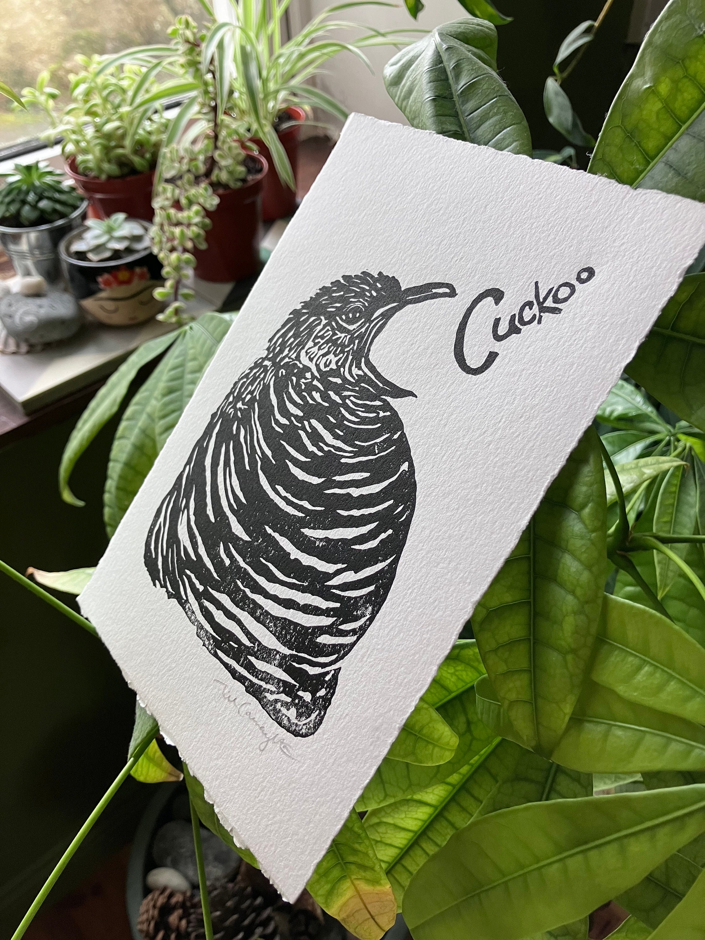Cuckoo - Linocut Print Featuring a Demanding Young Irish Cuckoo Bird - Etsy