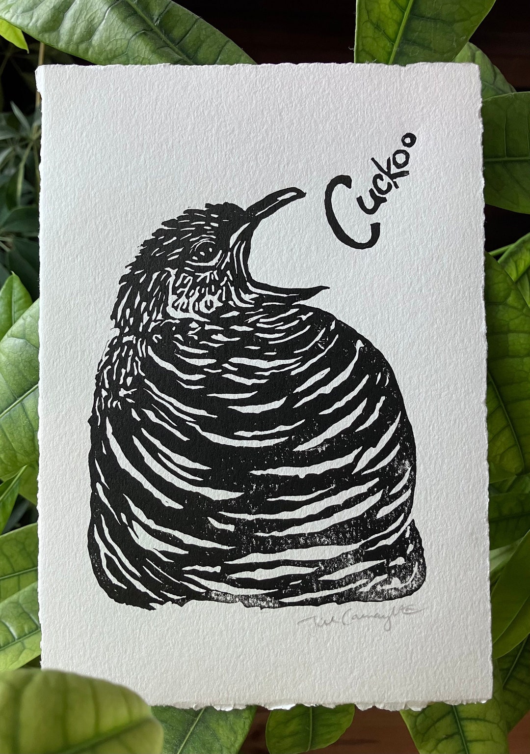 Cuckoo - Linocut Print Featuring a Demanding Young Irish Cuckoo Bird - Etsy