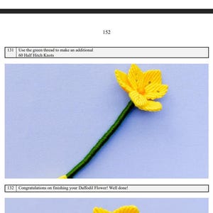 Daffodil Spring Flower DIY, Micro Macrame Flower Tutorial - PDF Digital Download, Over 250 ...