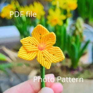Daffodil Spring Flower DIY, Micro Macrame Flower Tutorial - PDF Digital Download, Over 250 ...