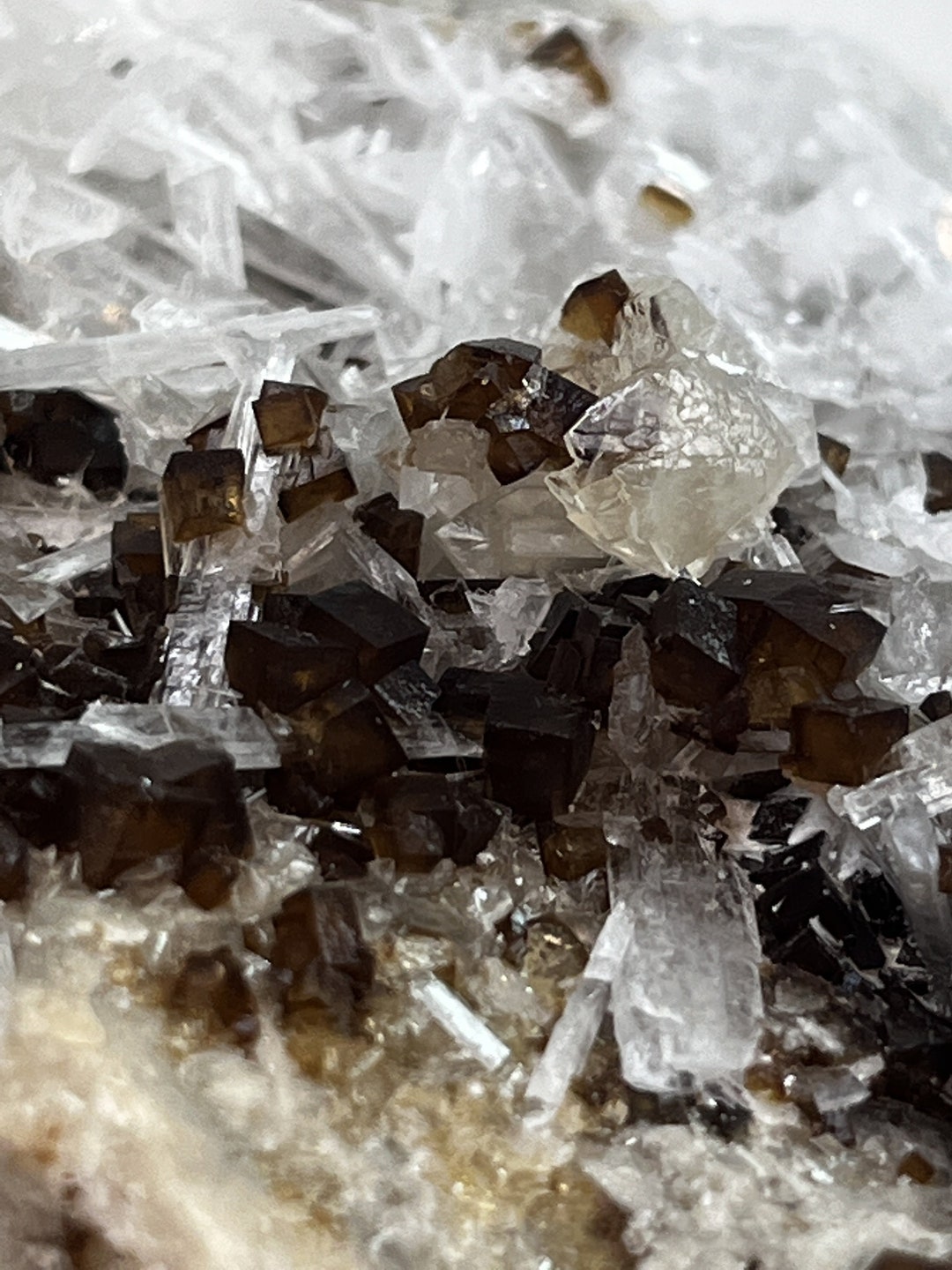 Fluorescent__large Root Beer Fluorite & Celestite Specimen / Clay ...