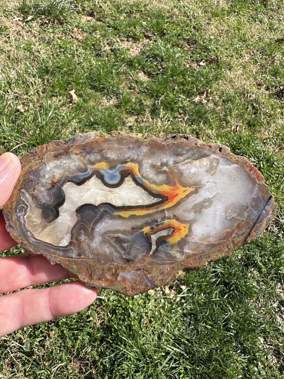 6 7/8 Inches___beautiful Kentucky Agate Slab From Estill County - Etsy