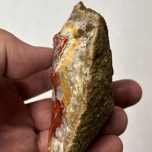 Large Natural Kentucky Agate Rough From Estill County - Etsy