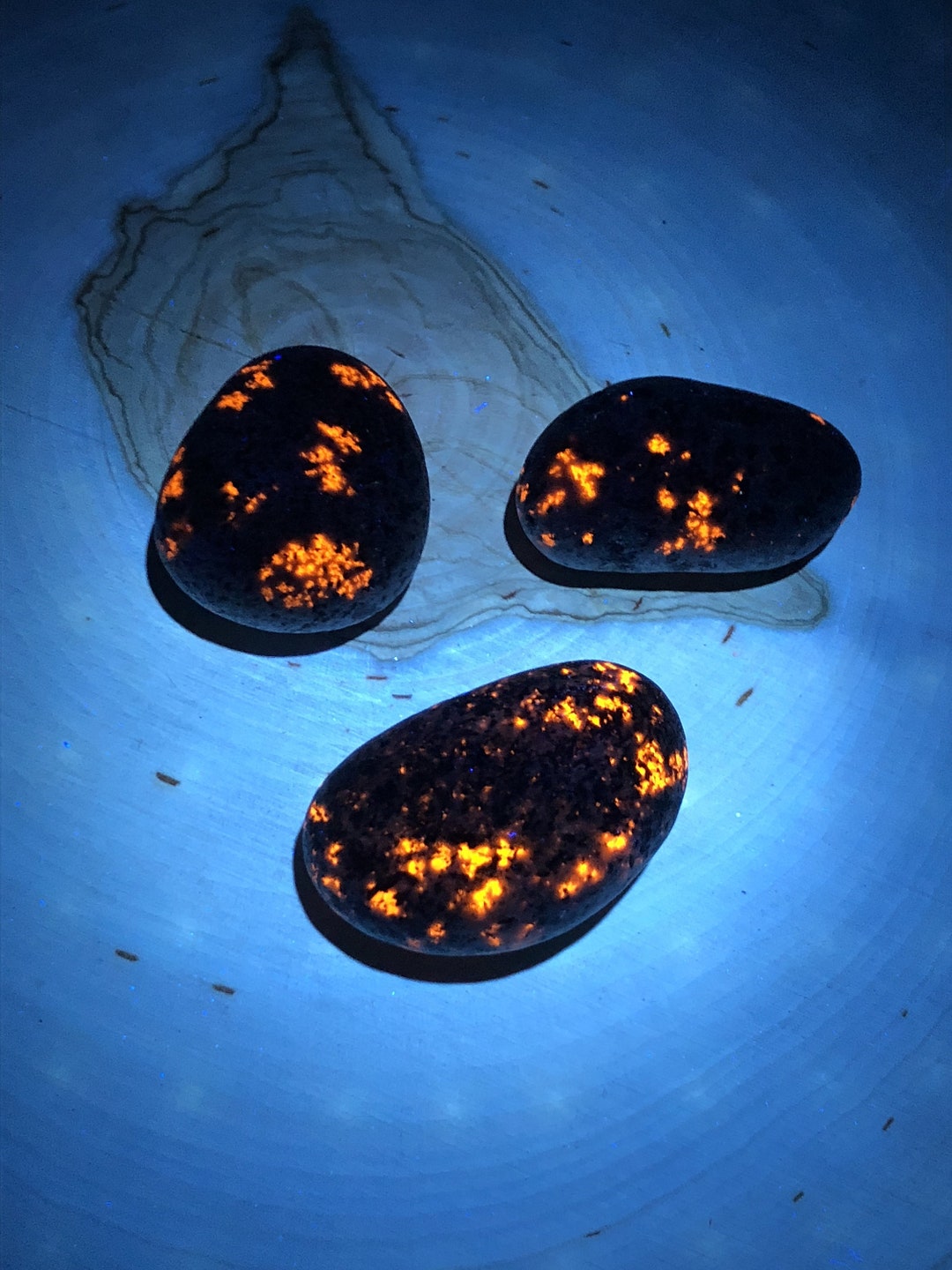 Free 365nm UV Light__amazing__3 YOOPERLITES 2.51 OZ./ 71.2 Grams ...