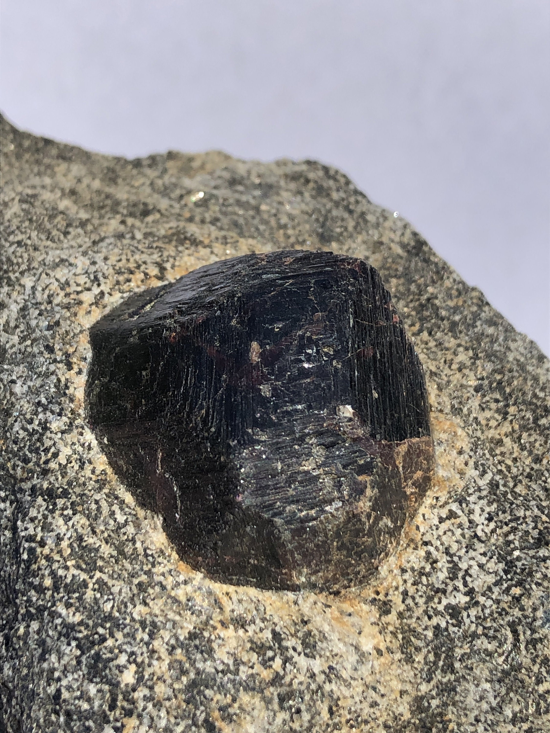 Gemmy Red Almandine Garnet in Matrix Wrangell Alaska | Etsy