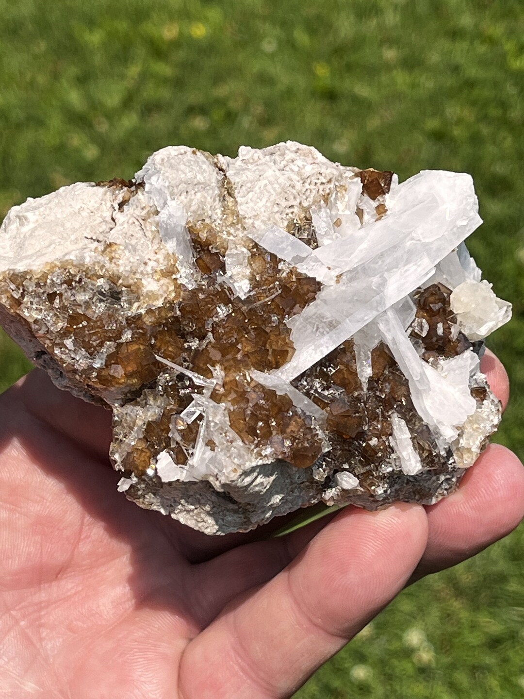 Fluorescent__large Root Beer Fluorite & Celestite Specimen / Clay ...