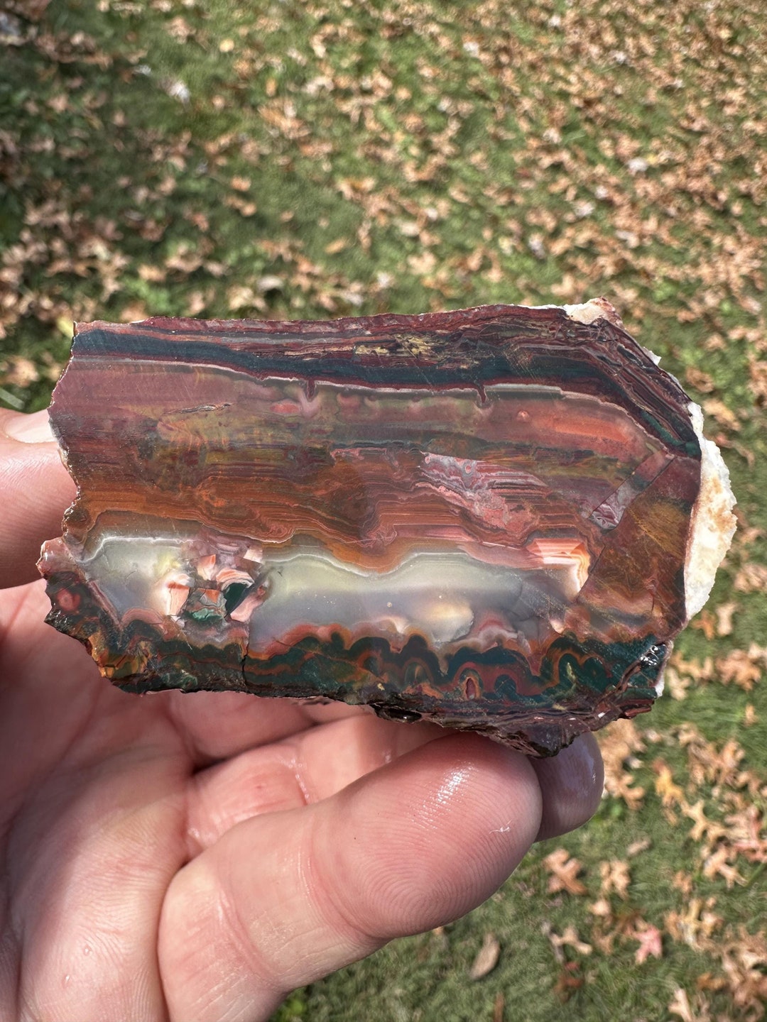 Premium Grade__large RARE Idaho Sunset Jasper Faced Rough Specimen ...