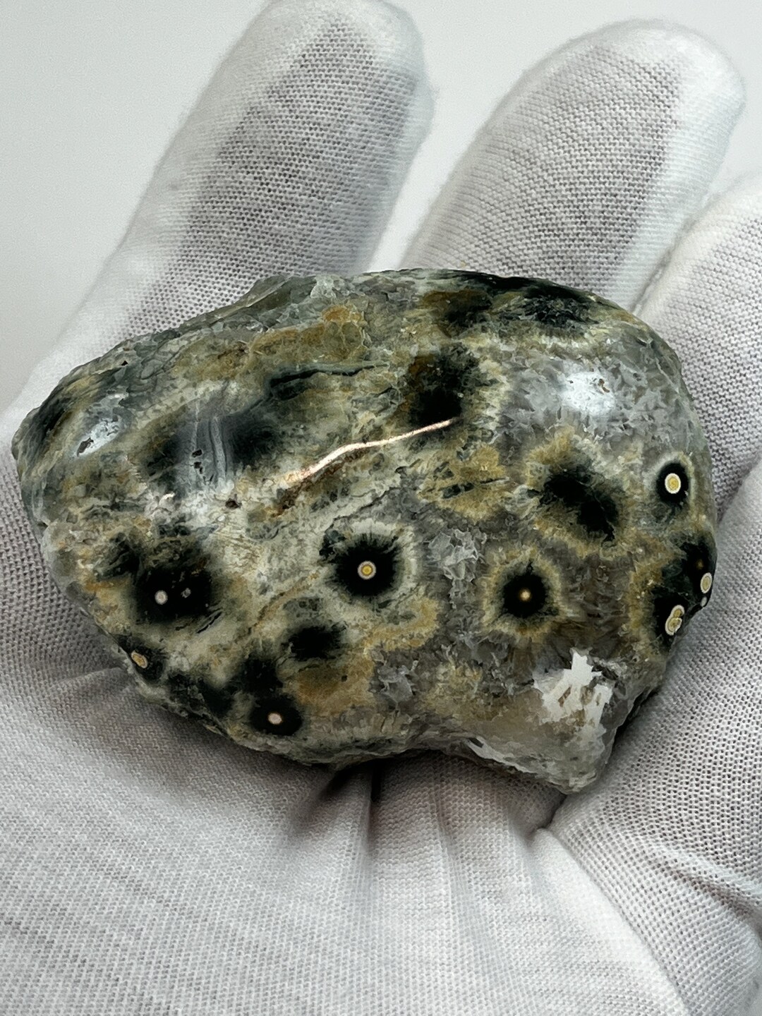 RARE Large Old Stock Ocean Jasper Palm Stone - Marovato, Madagascar - Etsy