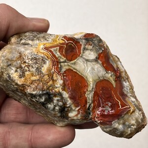 Large Natural Kentucky Agate Rough From Estill County - Etsy