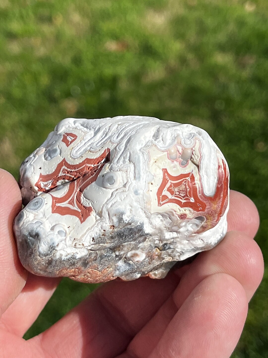 RARE Large Tumbled Kentucky Agate Palm Stone From Estill County ...