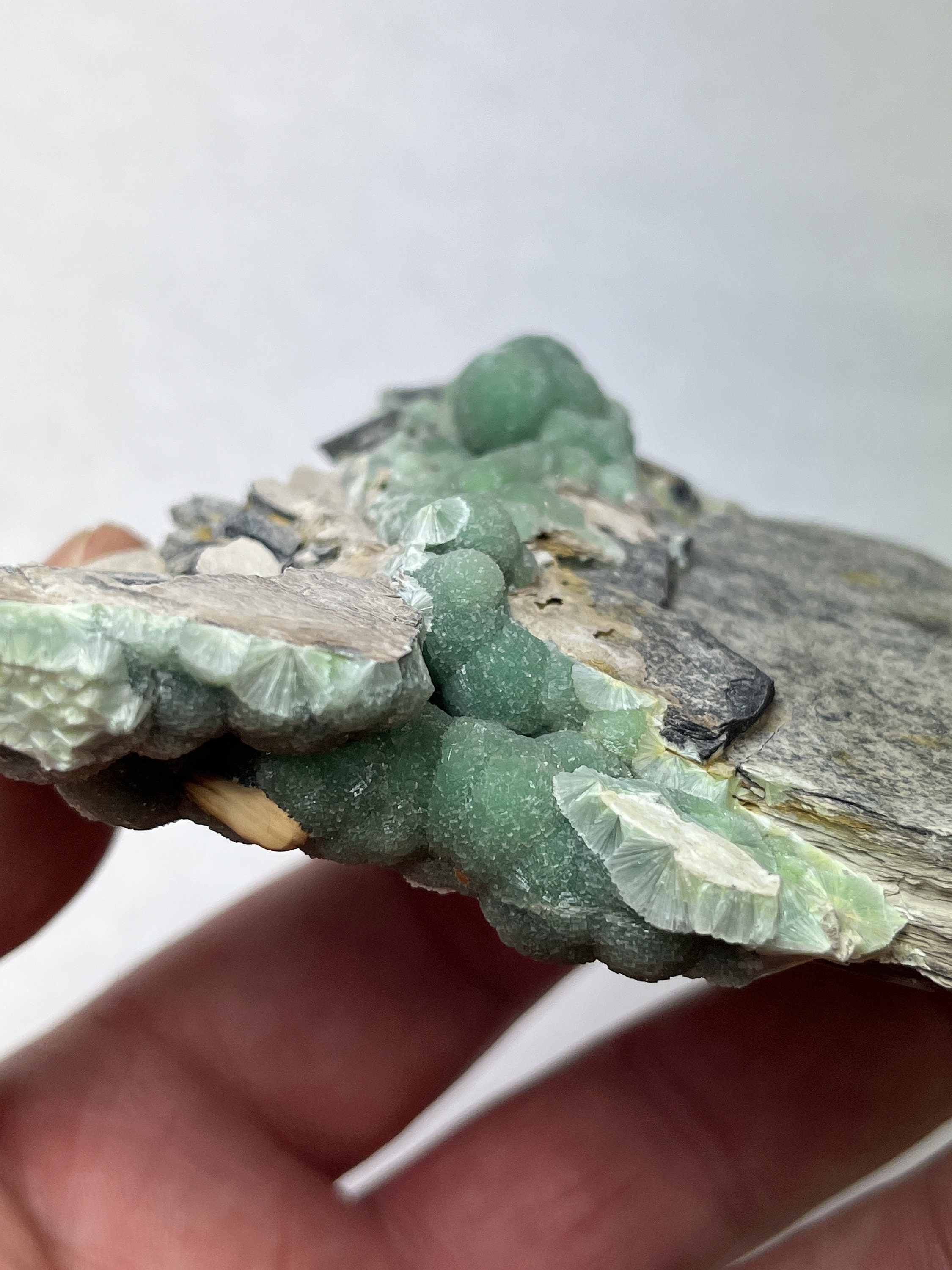 Home Décor High Luster___LARGE RARE GREEN Wavellite Specimen from ...
