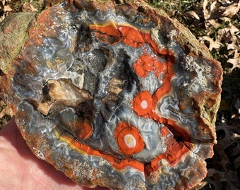 Large Natural Kentucky Agate Rough From Estill County - Etsy