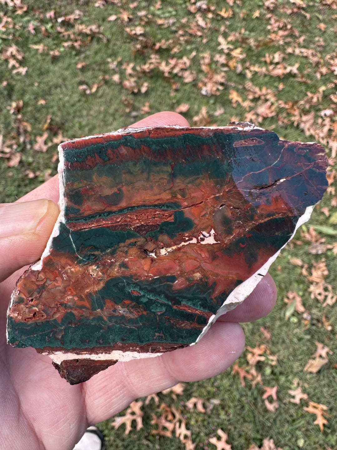Premium Grade__large RARE Idaho Sunset Jasper Faced Rough Specimen ...