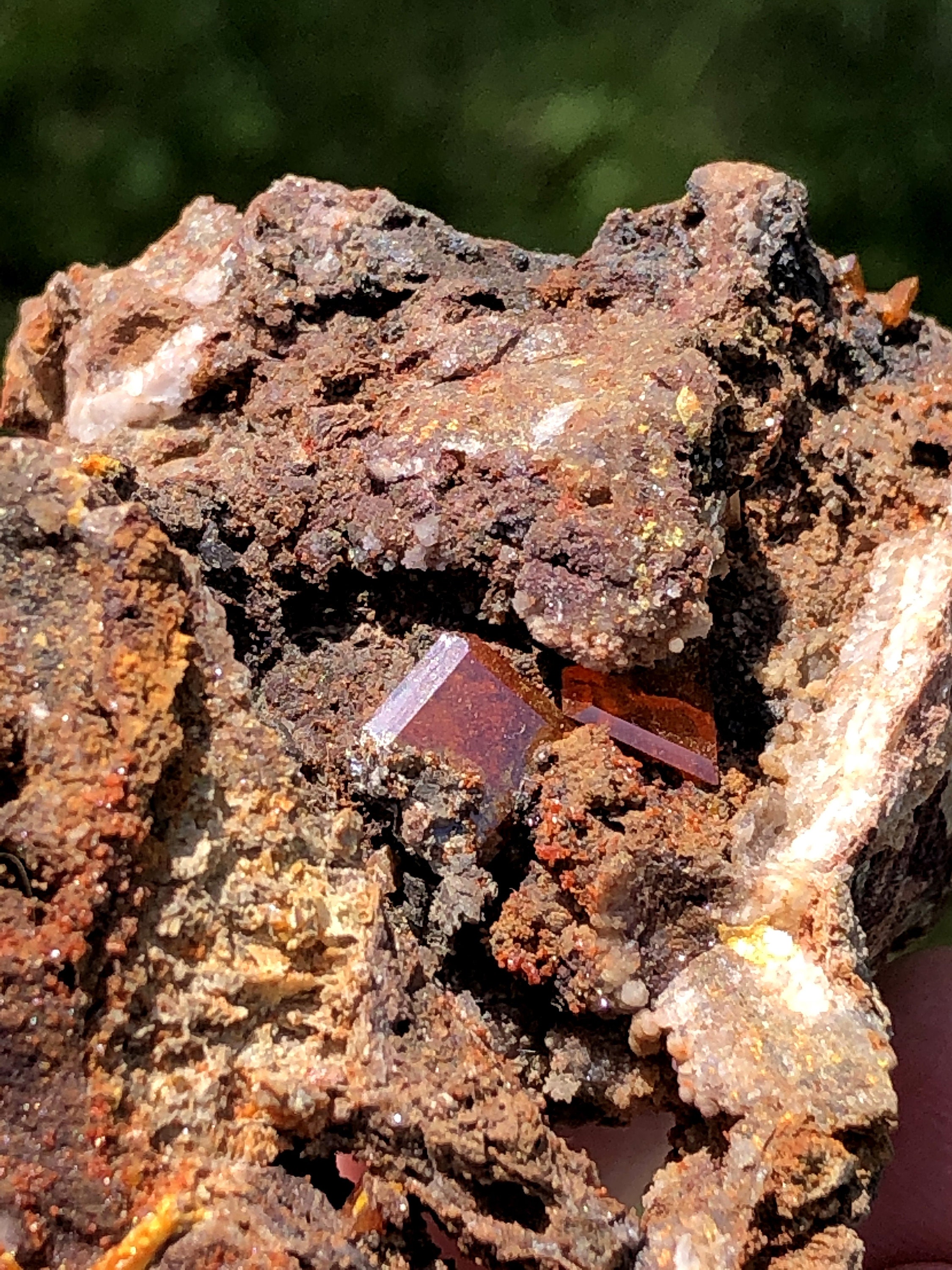Large Red Cloud Mine Wulfenite Specimen__ Yuma | Etsy