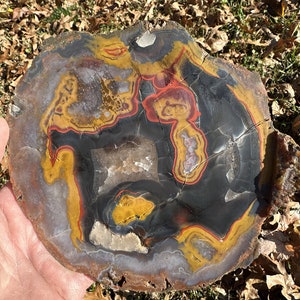 7 3/8 Inches___natural Beautiful Colorful Kentucky Agate Slab From ...