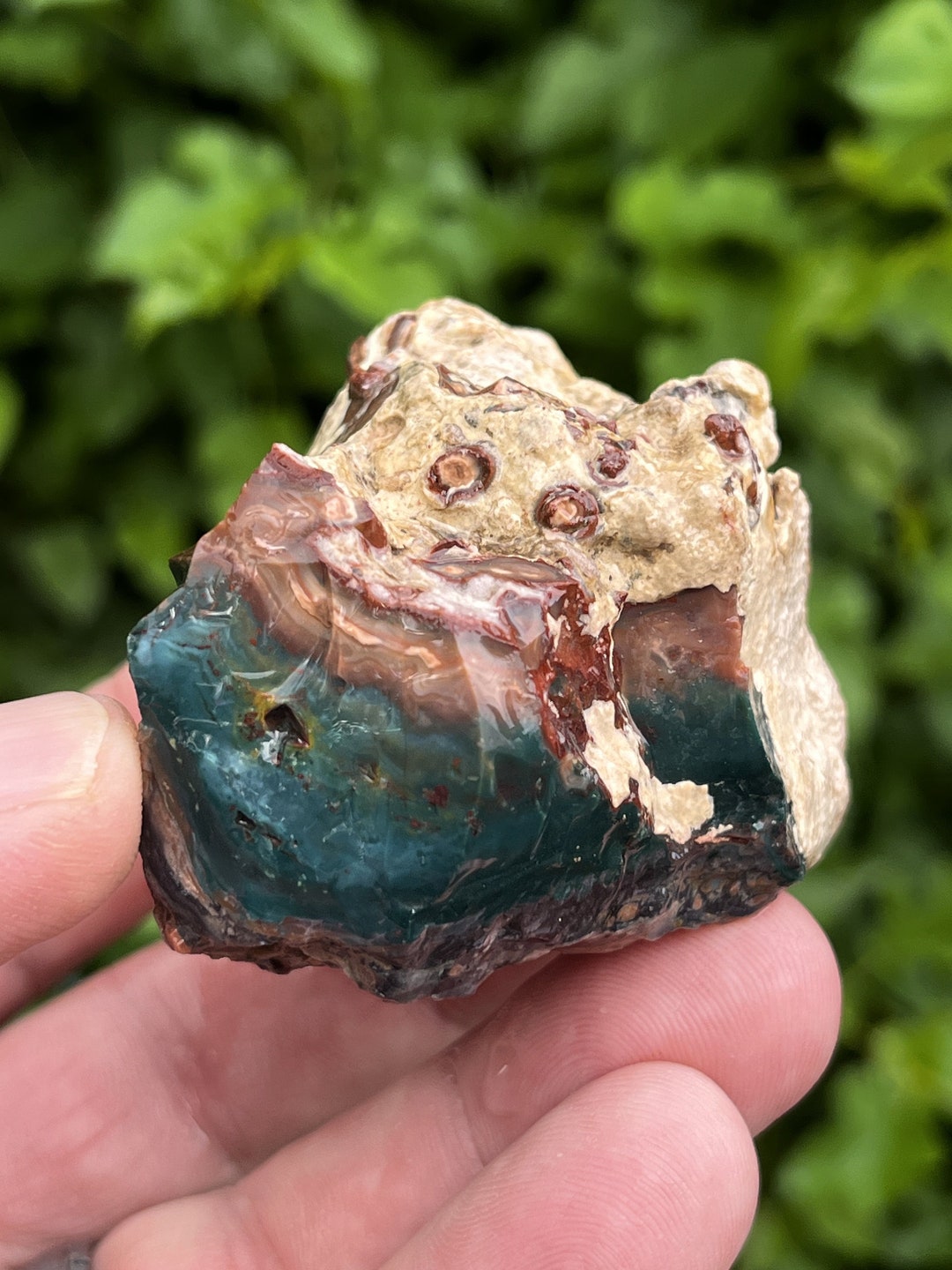 Large RARE Idaho Sunset Jasper Rough Specimen- Agate - Lemhi County ...