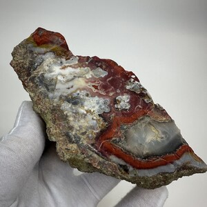 Large Natural Kentucky Agate Rough From Estill County - Etsy