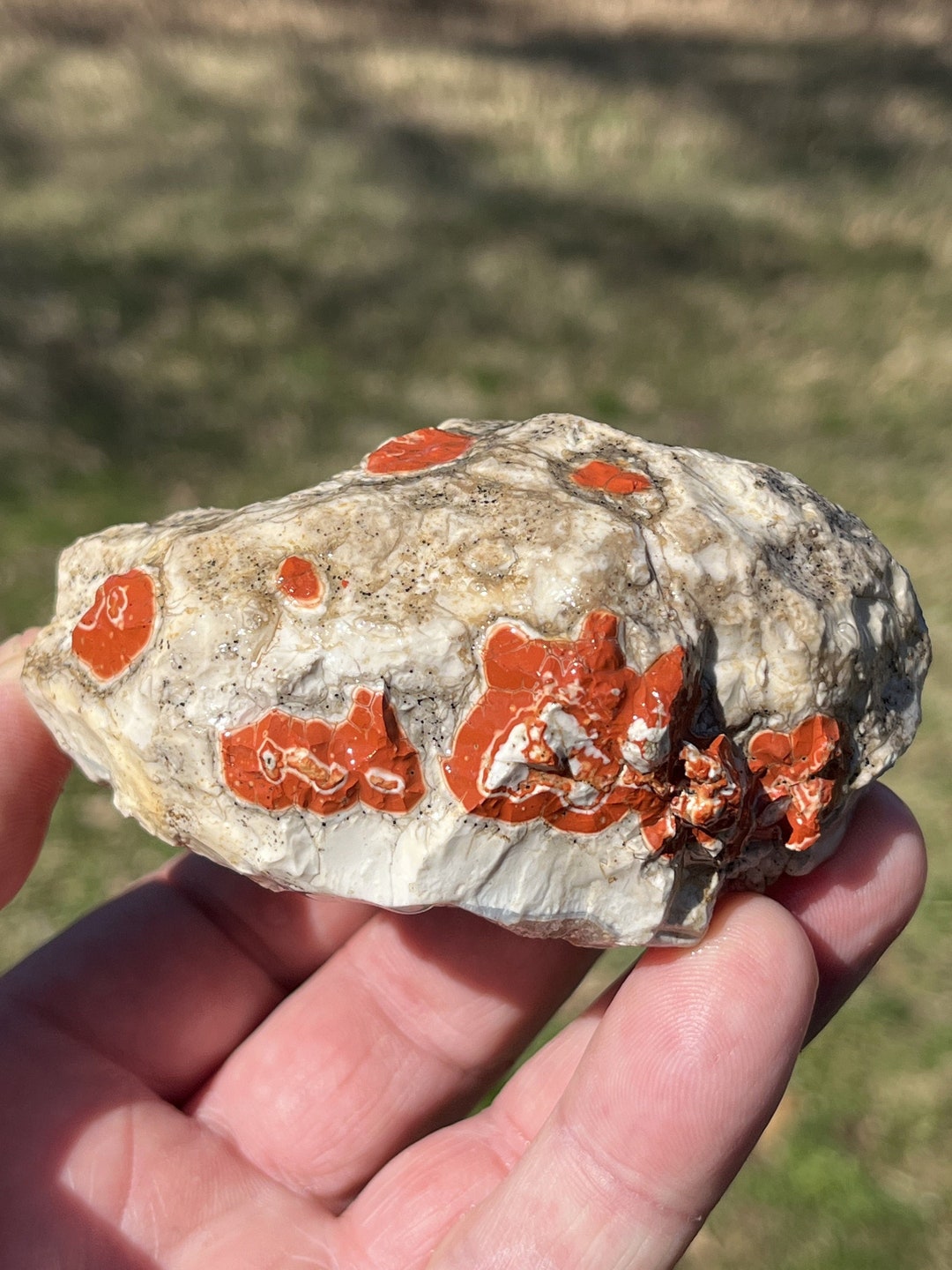 Large Natural Kentucky Agate Rough From Estill County - Etsy