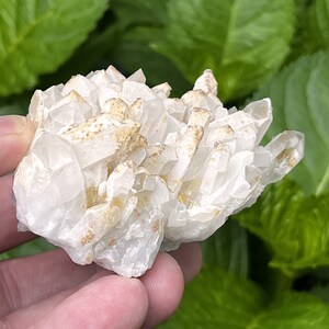 Rare Display___large Arkansas Quartz Crystal Cluster With Adularia - Etsy