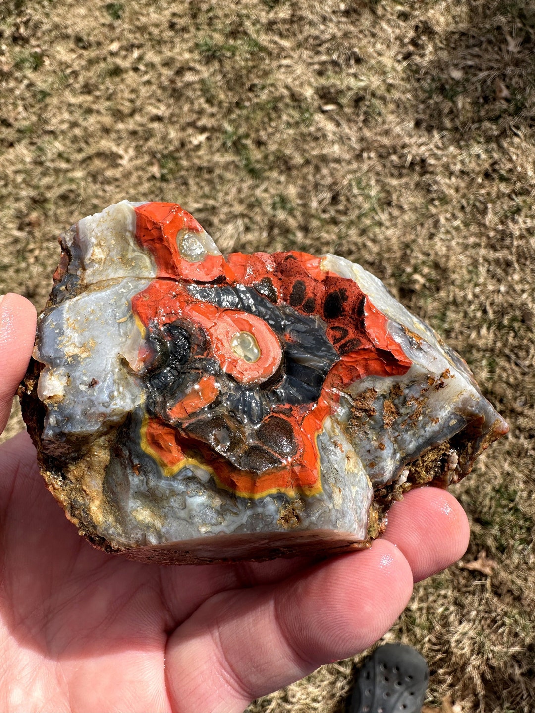 Large Natural Kentucky Agate Rough From Estill County - Etsy