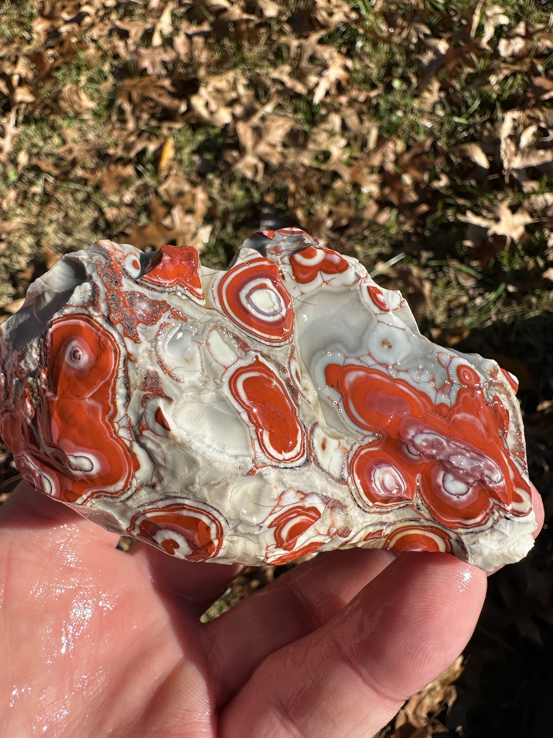 Large Natural Kentucky Agate Rough From Estill County - Etsy