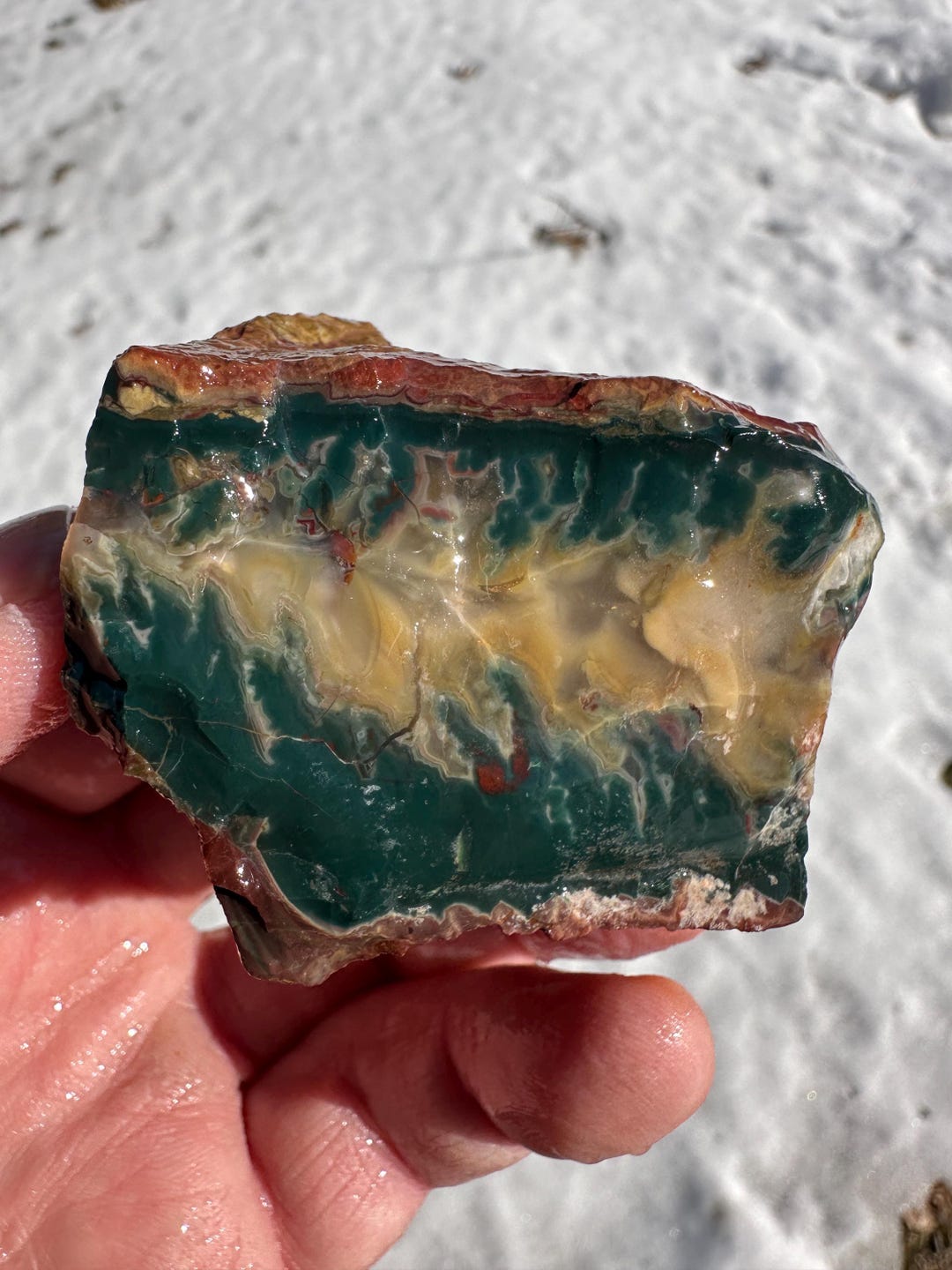 Top Grade__large RARE Idaho Sunset Jasper Rough Specimen Agate Lemhi ...