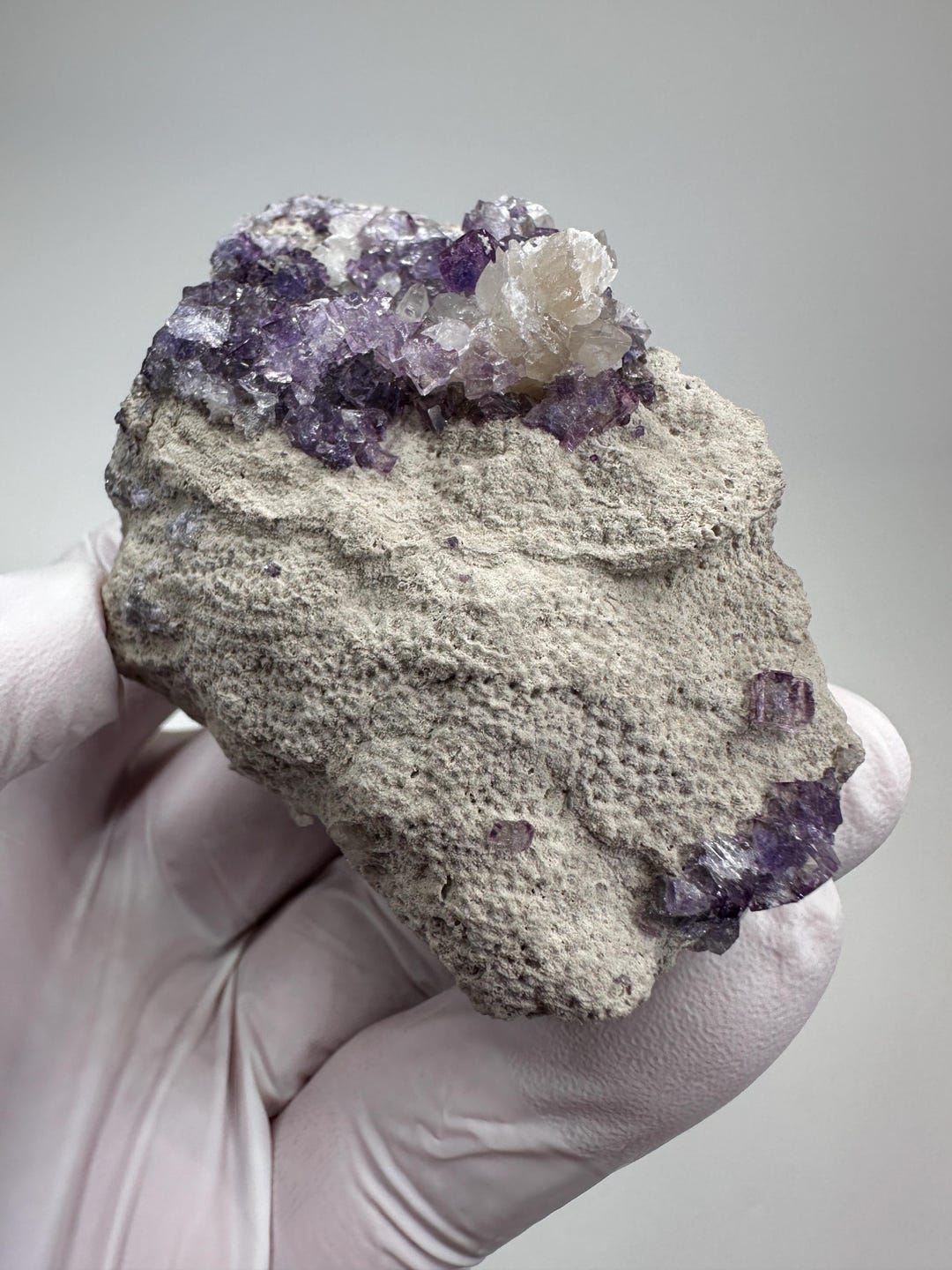 Rare FLUORITE AND CALCITE on Fossilized Coral__marblehead Quarry ...