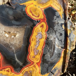 7 3/8 Inches___natural Beautiful Colorful Kentucky Agate Slab From ...