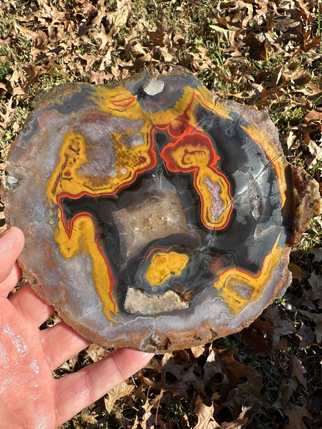 7 3/8 Inches___natural Beautiful Colorful Kentucky Agate Slab From ...