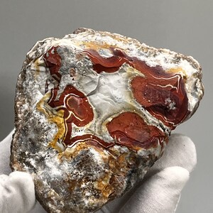 Large Natural Kentucky Agate Rough From Estill County - Etsy