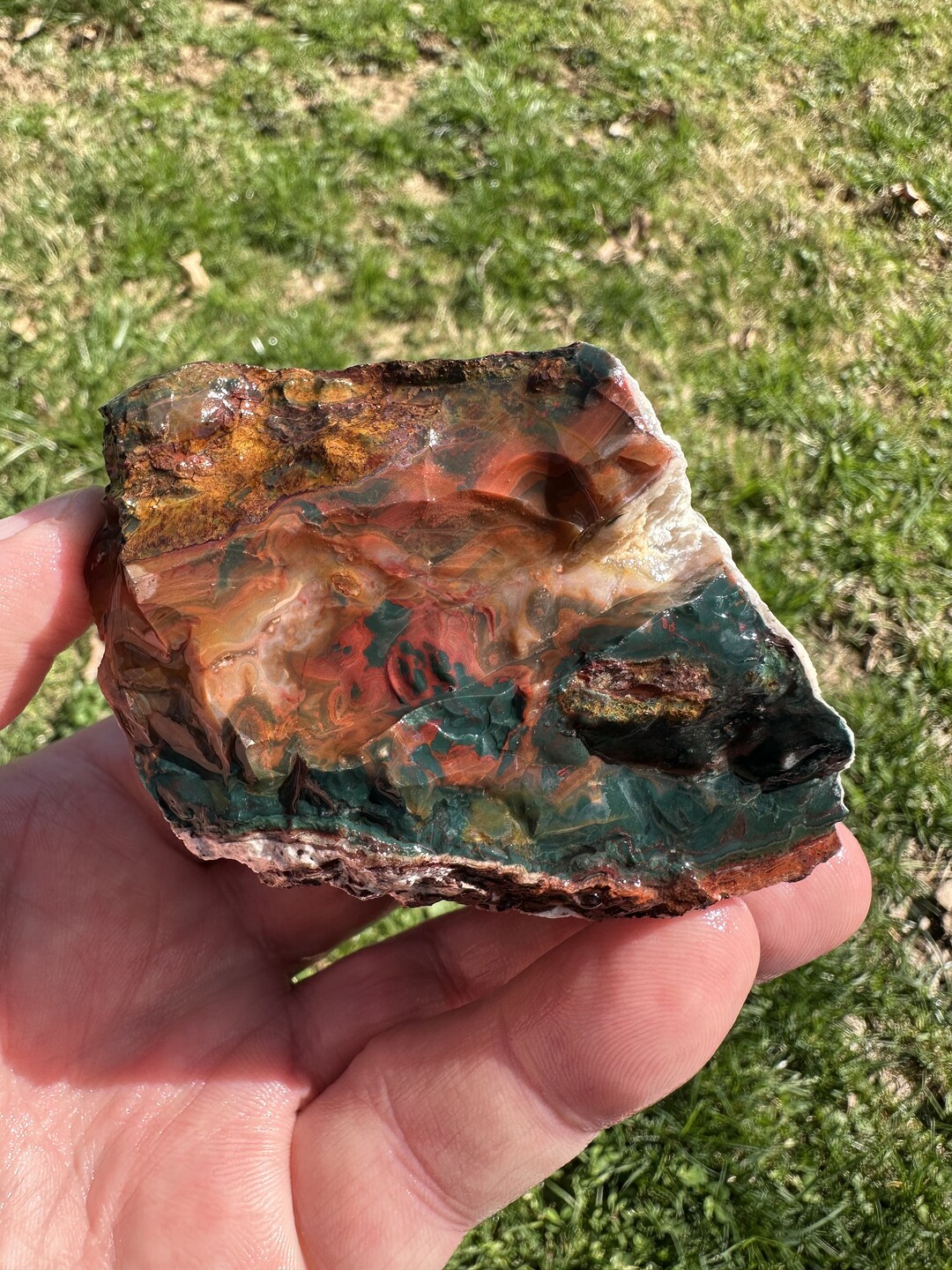 Top Grade__rare Idaho Sunset Jasper Rough Specimen Agate Lemhi County ...