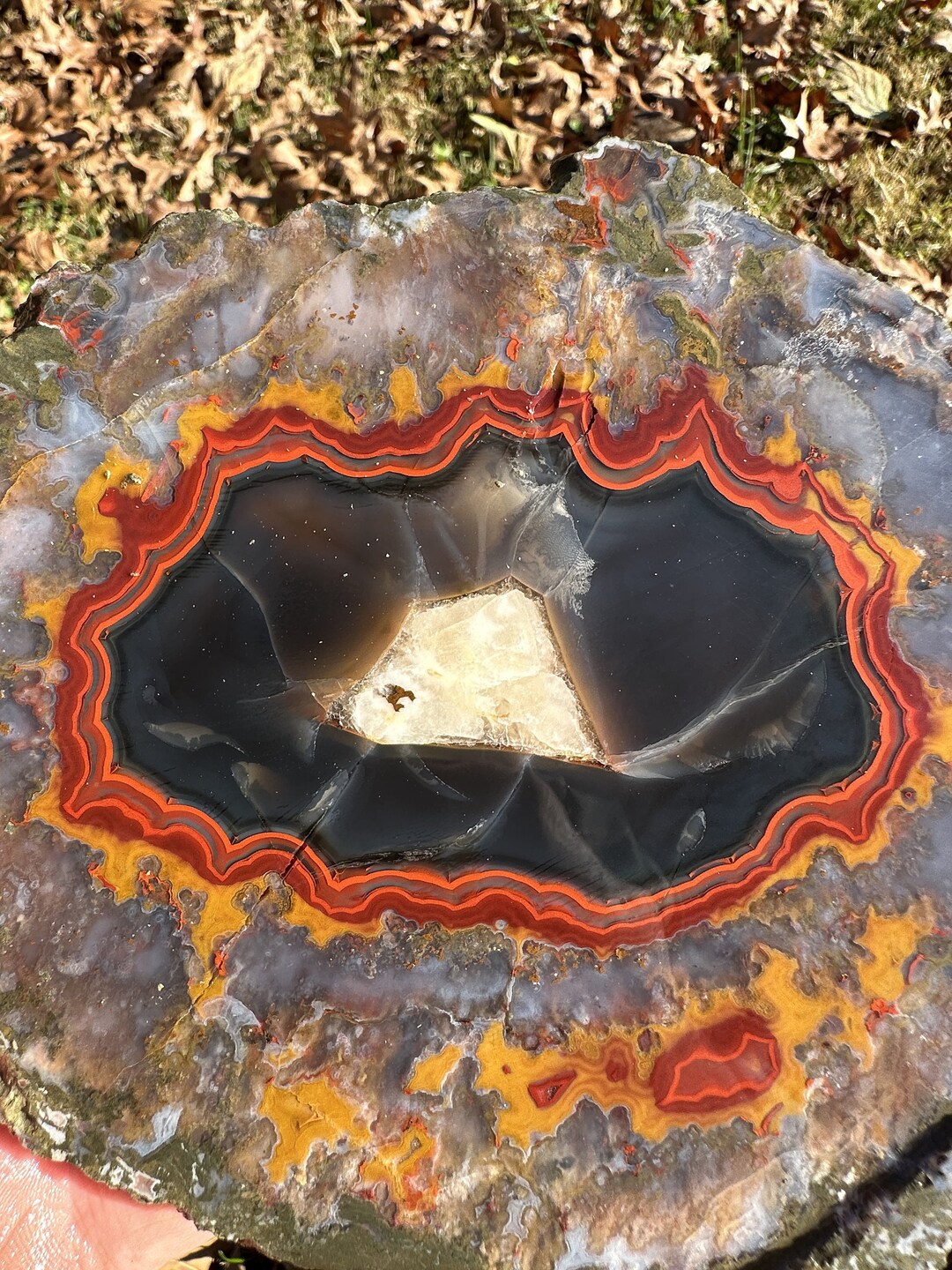 6 5/8 Inches___natural Beautiful Colorful Kentucky Agate Slab From ...