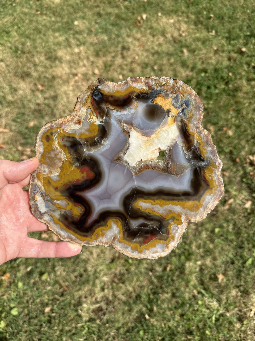 9 Inches___natural Beautiful Colorful Kentucky Agate Slab From Estill ...