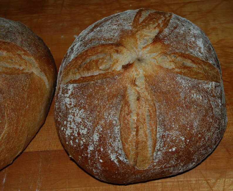 Alaskan Sourdough Starter - Etsy