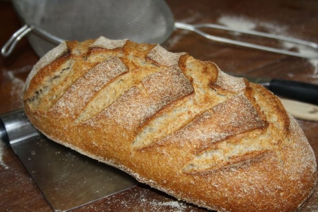 Italian Sourdough Starter, From: Ischia Island, Southern Italy. - Etsy