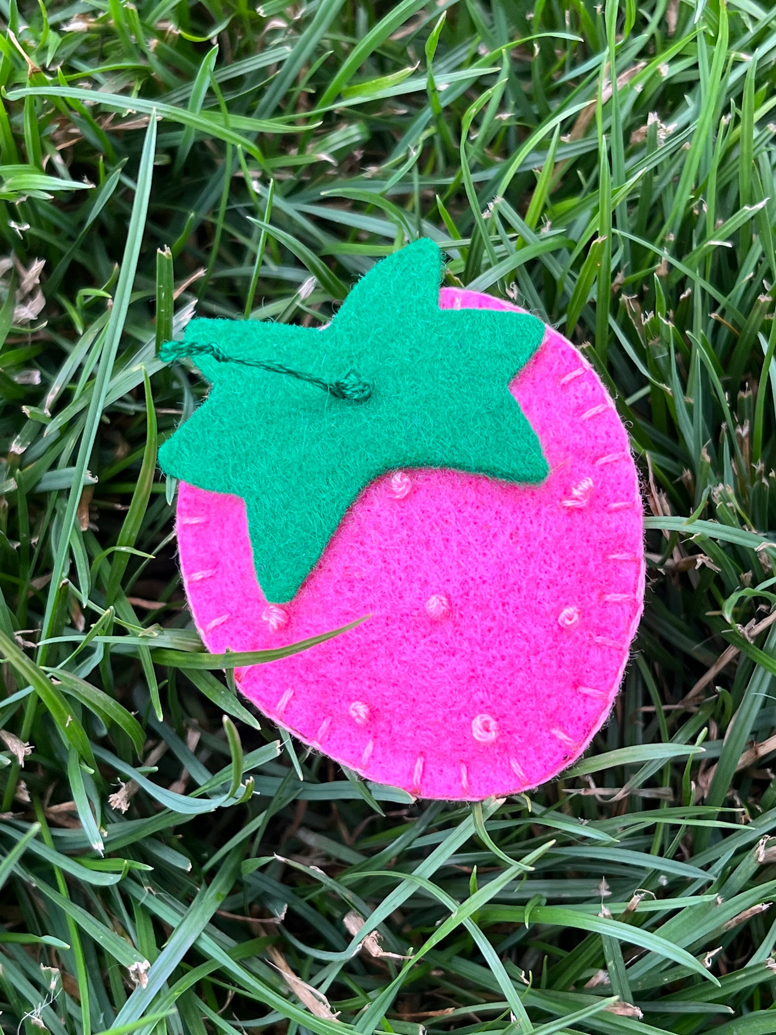 Felt Fruit Felt Apple Felt Pineapple Felt Strawberry Mixed - Etsy