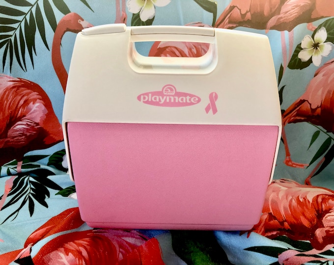 Igloo Playmate Pink Ribbon Cooler, Breast Cancer Awareness Pink Ice ...