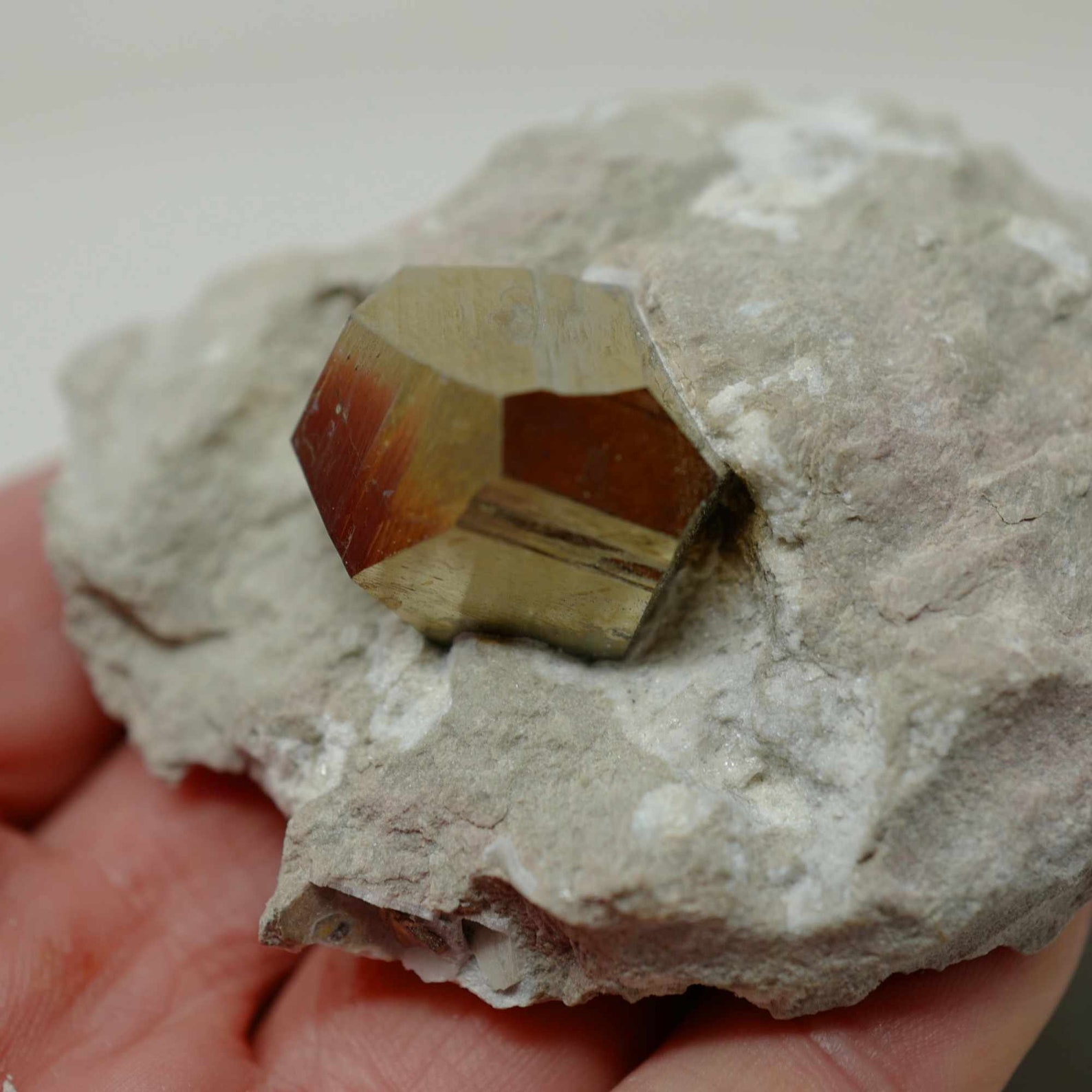 Large Spanish Pyrite Cluster in Matrix: Pentagonal Fool's Gold Crystal ...