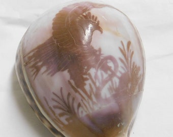 Carved Tiger Cowrie Shell - Etsy