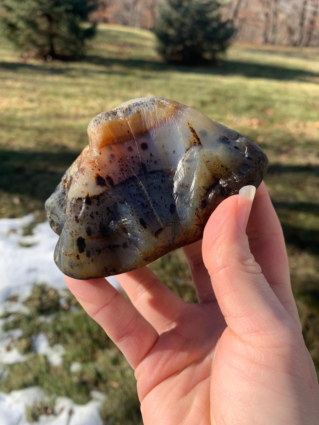 The Podium Agate. Jaw Dropping Montana Agate Specimen From the ...