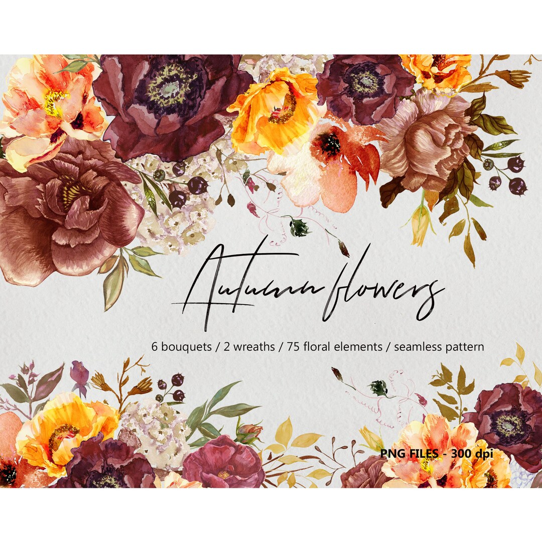 Floral Patterns, Flower Clipart Png, Floral Clipart, Floral Designs ...