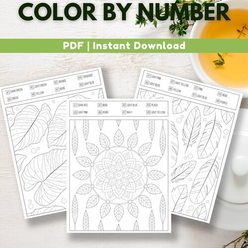 Printable Adult Color by Numbers Coloring Pages 8.5x11 - Etsy