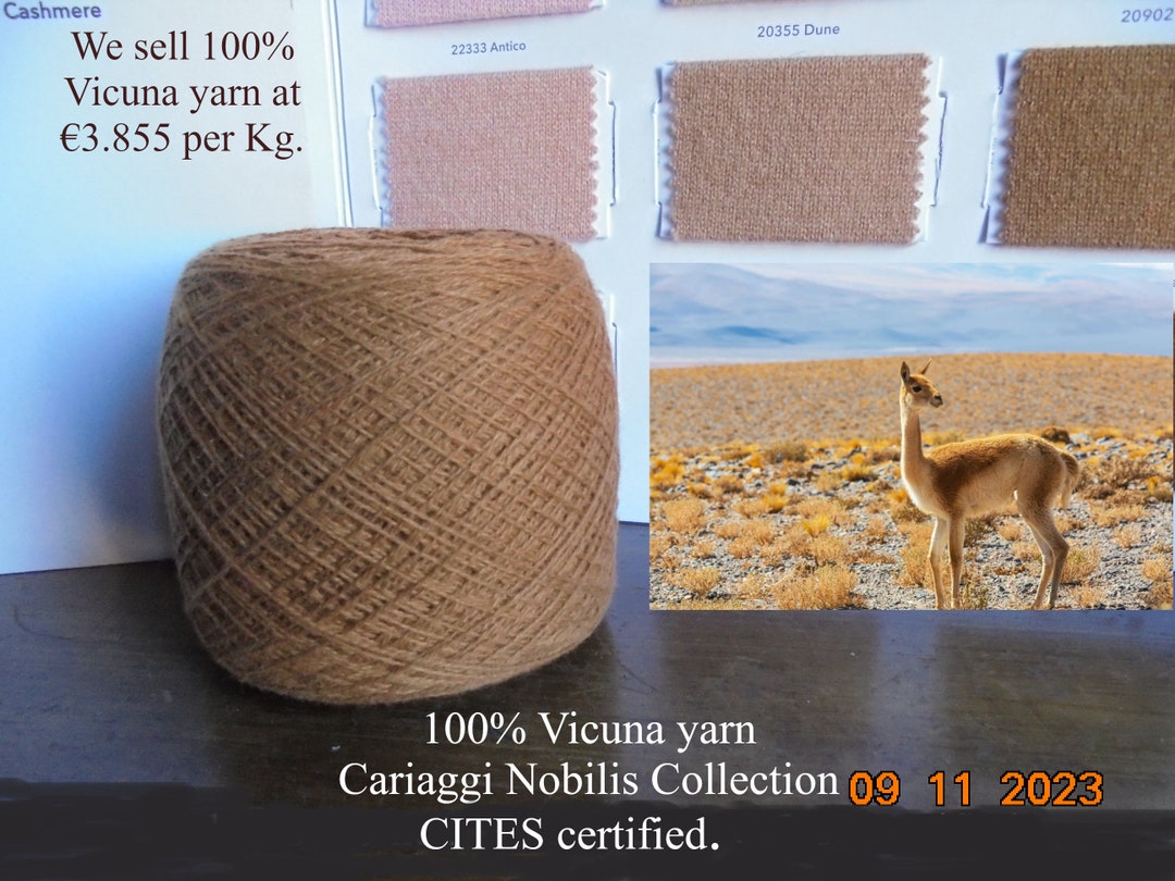 100% Vicuna Yarn. Cariaggi Nobilis Collection. CITES - Etsy UK