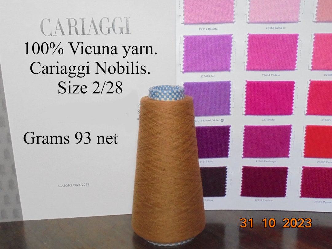 100% Vicuna Yarn From Cariaggi Italy. Size 2/28. CITES Certified. Gr ...