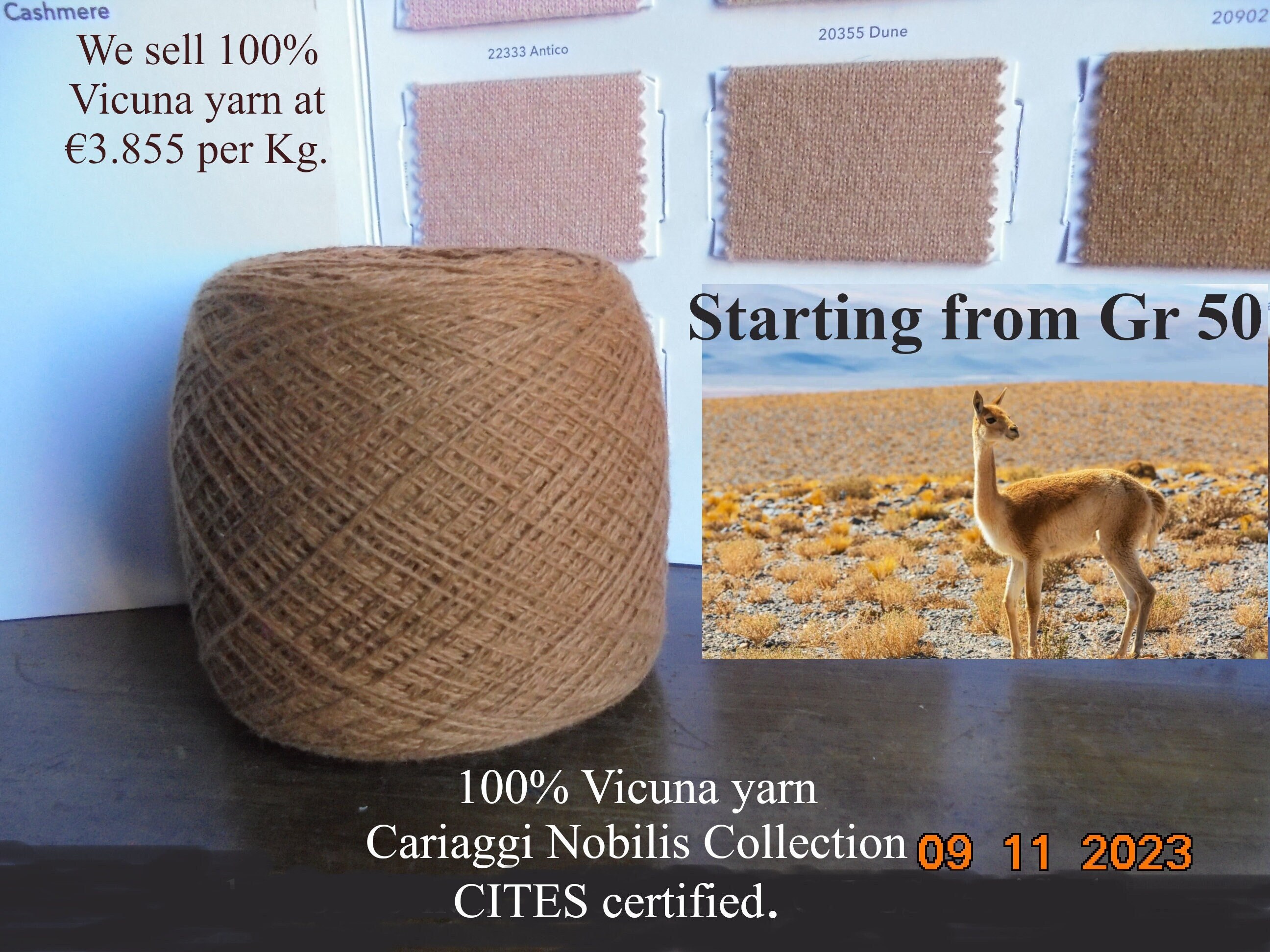 100% Vicuna Yarn. Cariaggi Nobilis Collection. CITES Certified. Gr 50 ...