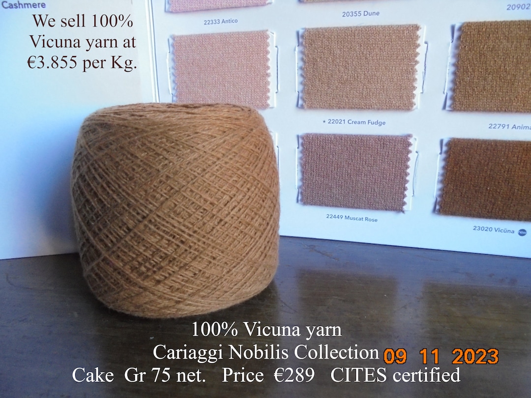 100% Vicuna Yarn. Cariaggi Nobilis Collection. CITES - Etsy