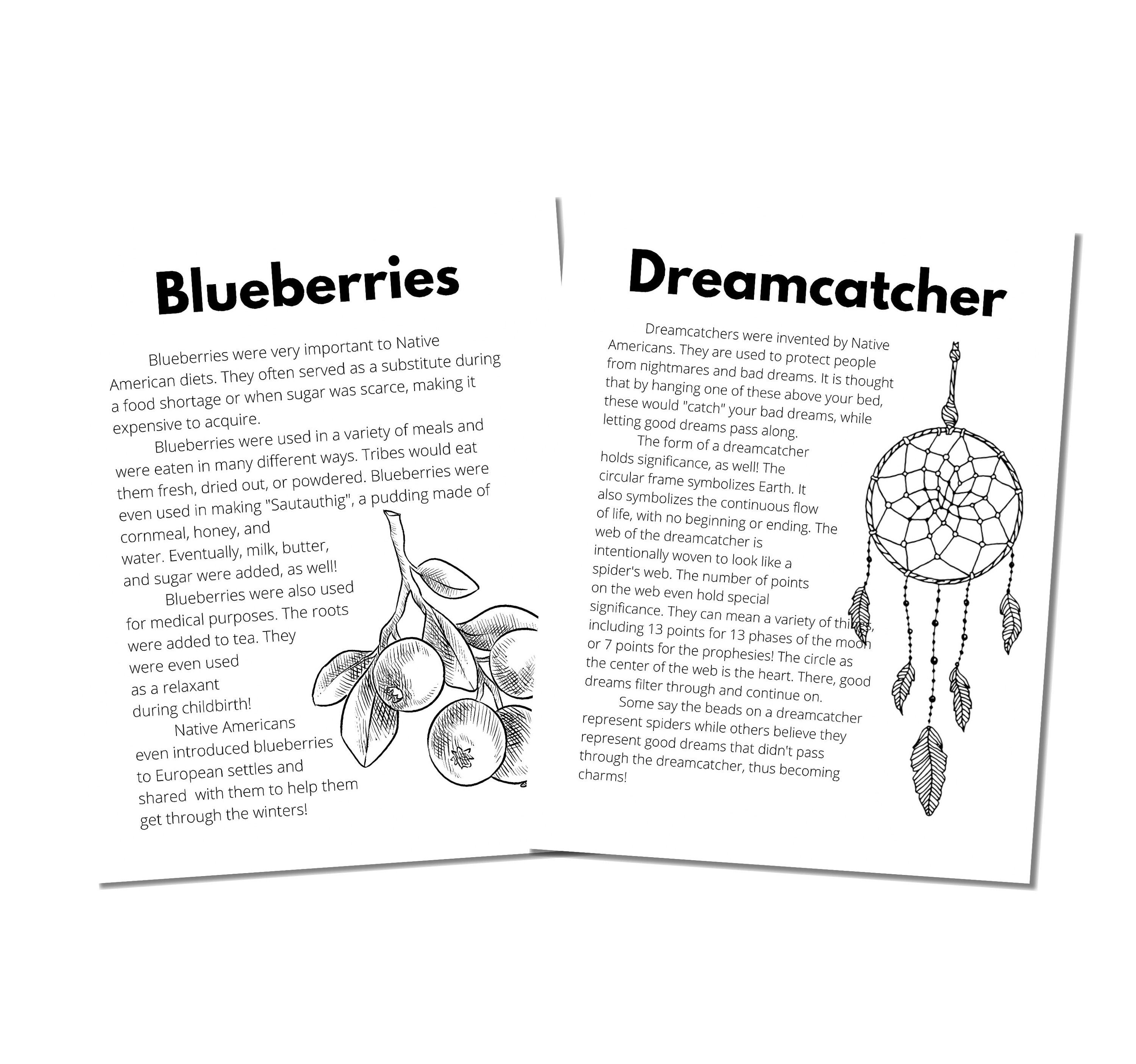 Toys Learning & School Toys & Games 15 Important Items of Native ...